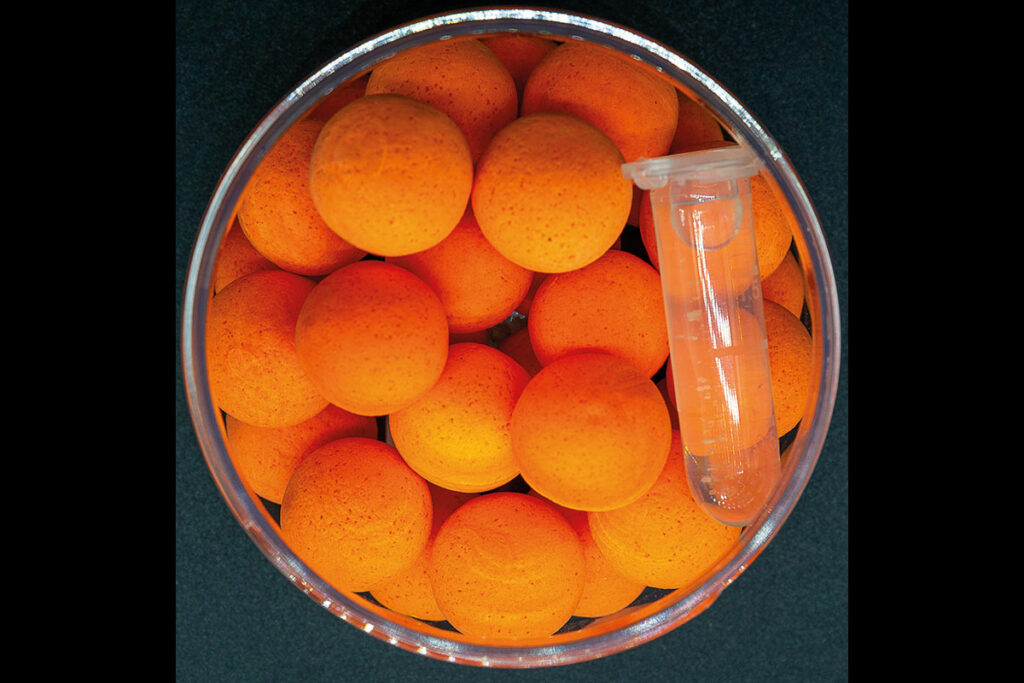 Fluoro Pop Ups - Orange - My-Baits